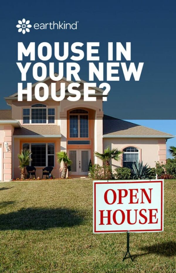 Signs of Mice in a New House - What to Look For | Earthkind