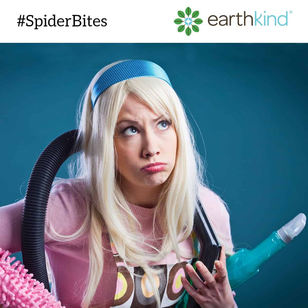 Get Rid of Spiders from the House. Sneaky Tips That Keep Spiders Out ...