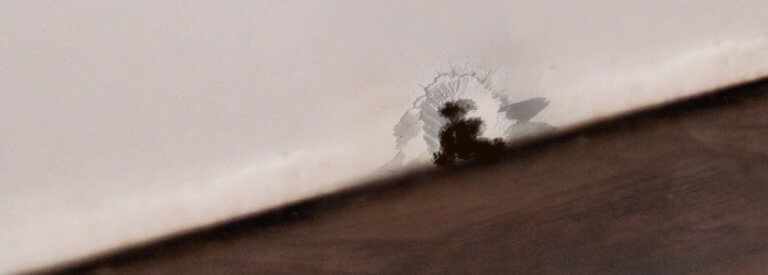 How to Tell if You Have Mice in Your House - Signs to Look For