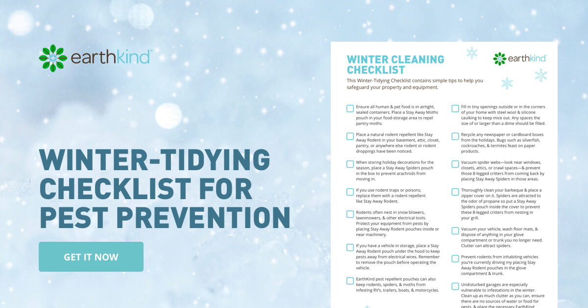 Cleaning Tips and Pest Control Tips for Winter | EarthKind