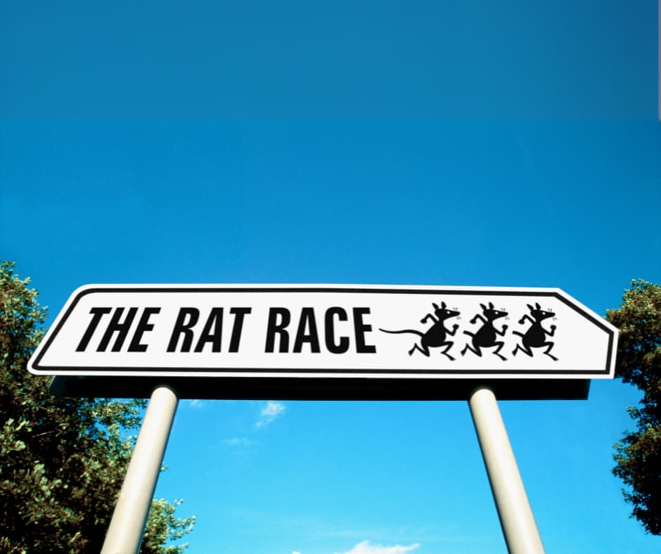 Real Life Rat Race – Party Theme Idea - Earthkind