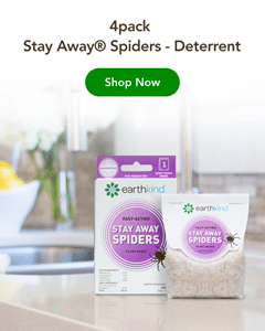 Types of Spider Webs & How to Identify Spiders Based on Webs