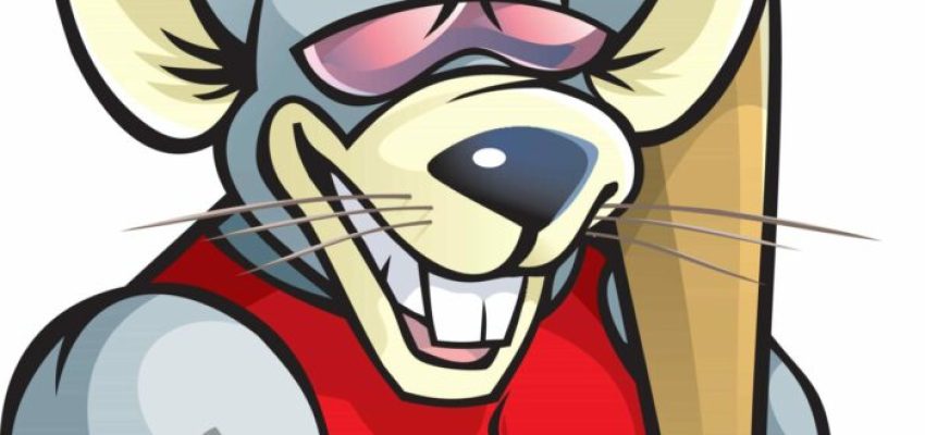 If You Build It, They Will Come…”They” Meaning Rats that is! - Earthkind